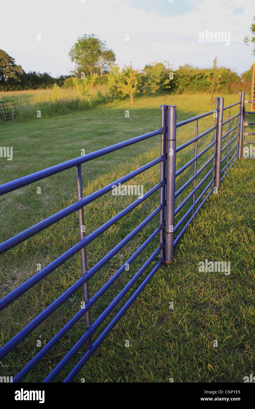 Blue painted sheep gates used as fencing in rural garden, in late ...