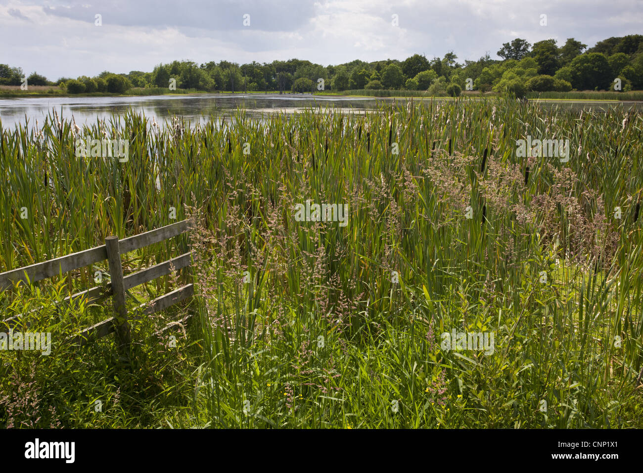 Coal mining subsidence hi-res stock photography and images - Alamy
