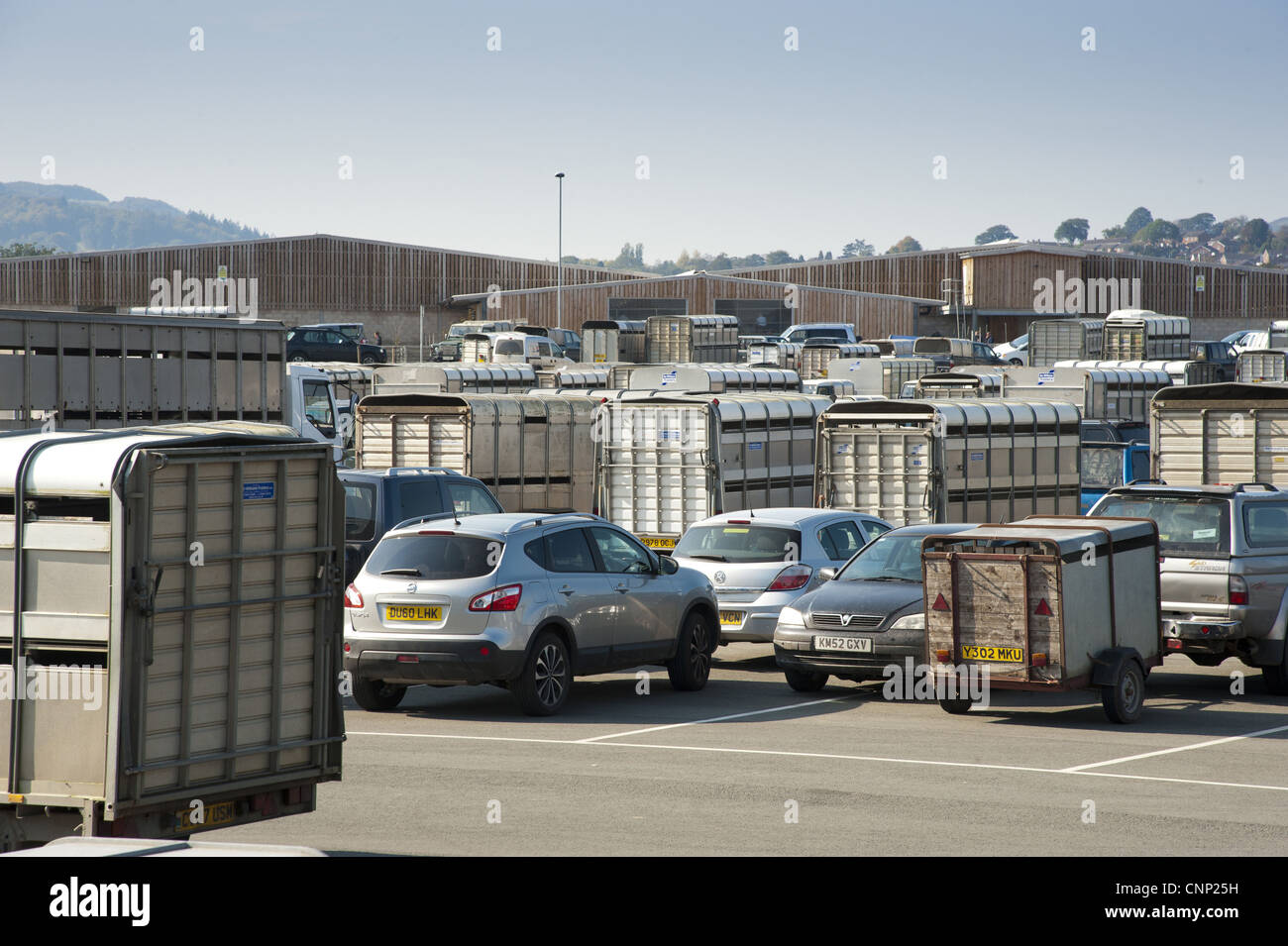 Various 4x4 vehicles and livestock trailers at livestock market ...