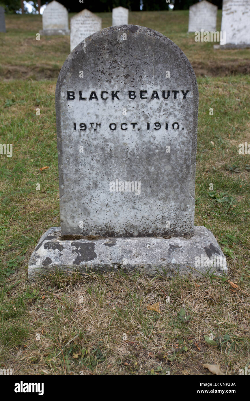 Gravestone name hi-res stock photography and images - Alamy