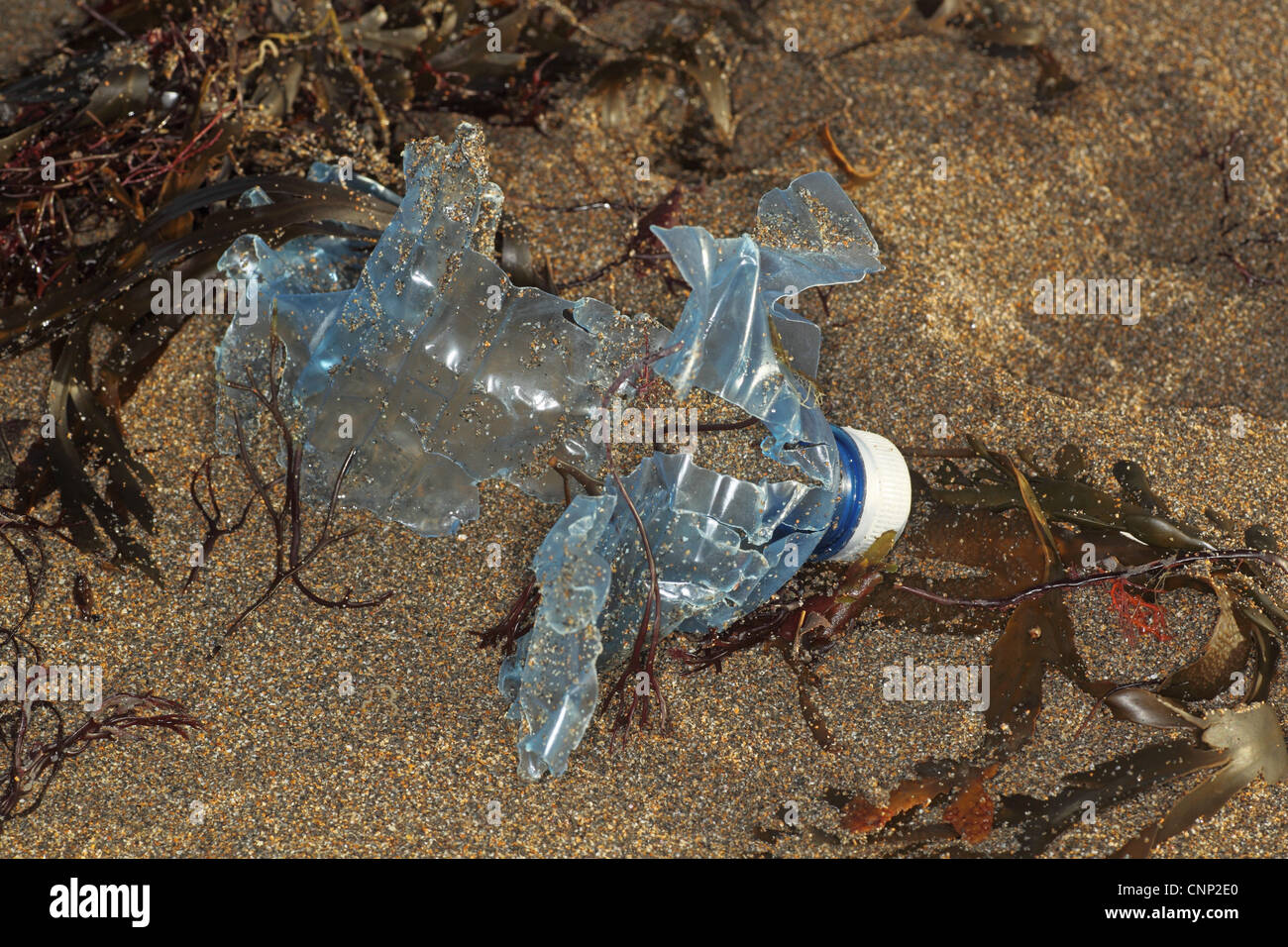 Plastic bottle breaking down on beach strandline, Bude, Cornwall ...