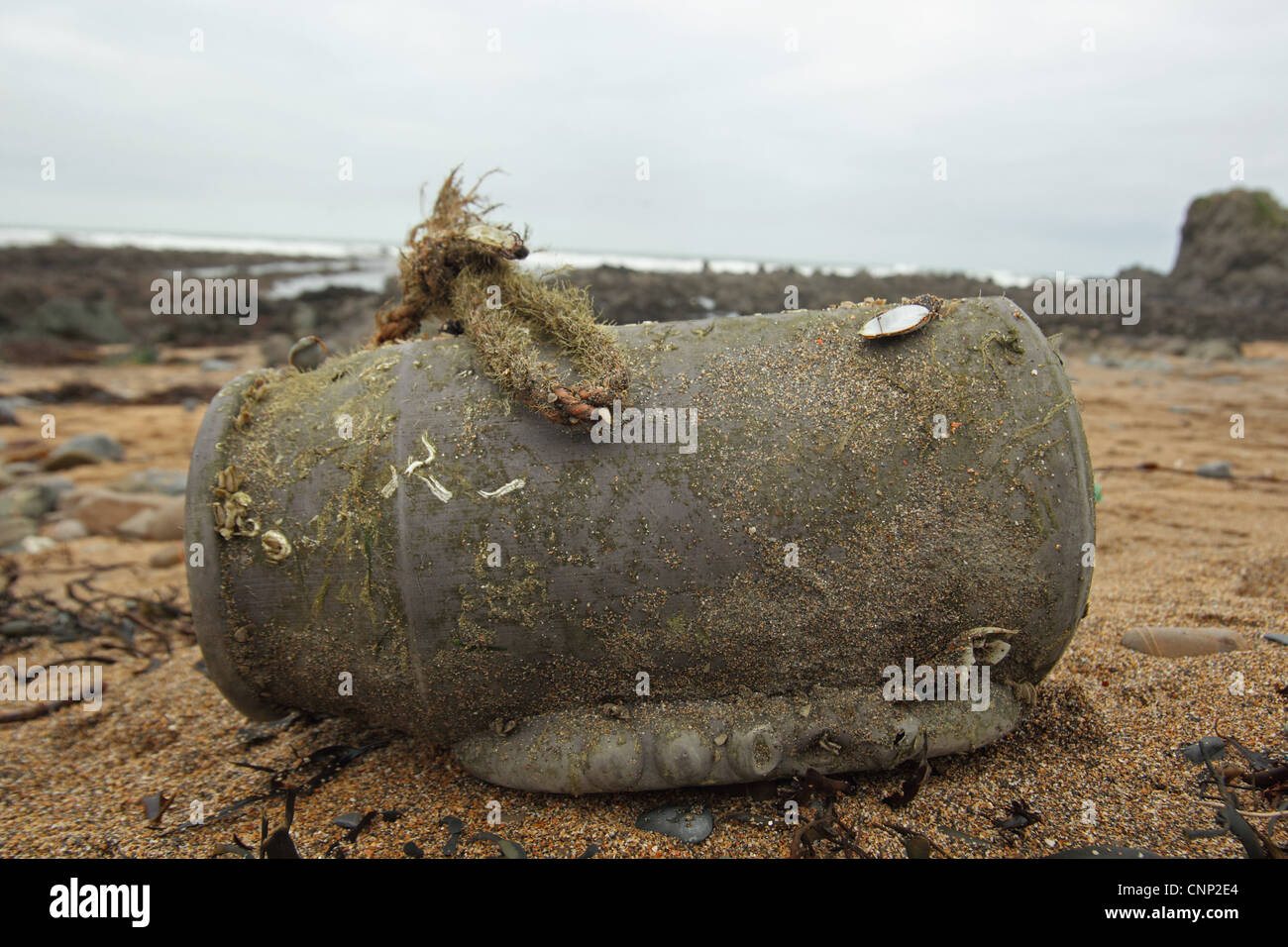 Octopus pot octopus pots hi-res stock photography and images - Alamy