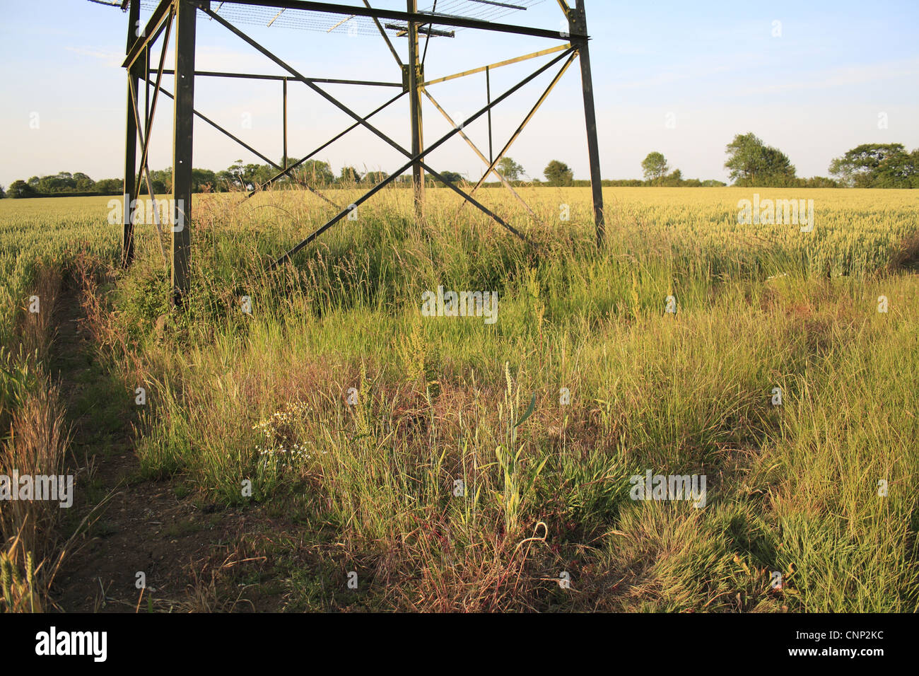 Electricity transmission pylon standing in arable field unintentional ...