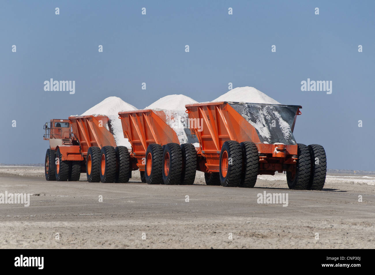 Exportadora de sal hi-res stock photography and images - Alamy