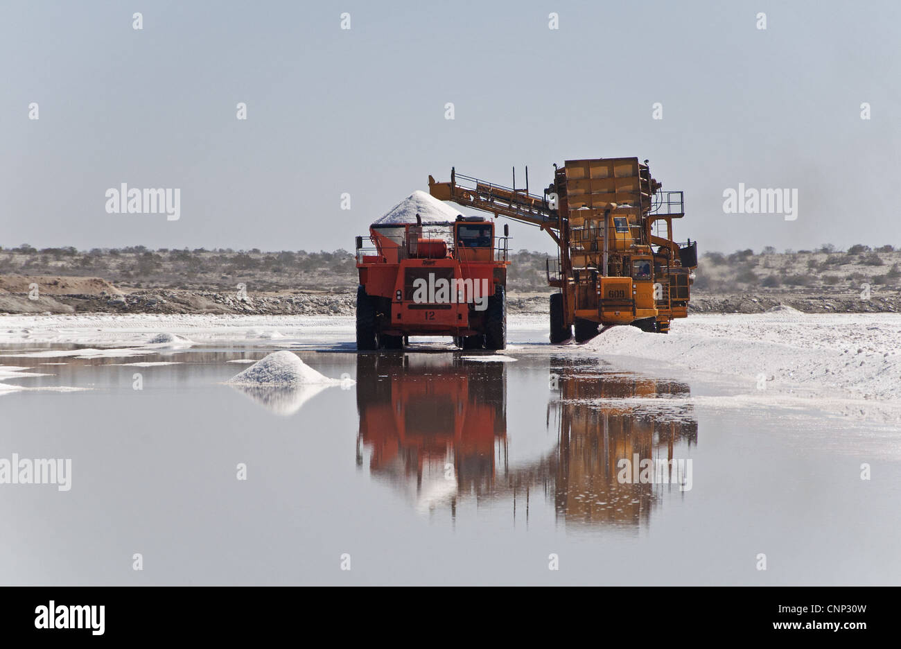 Commercial salt production machinery collecting salt saltpans ...