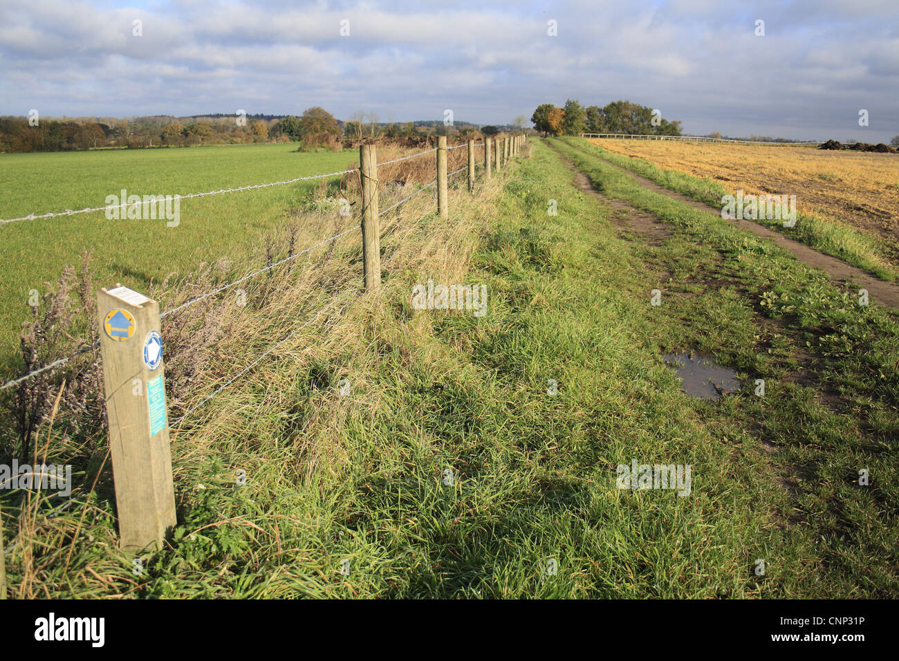 Angles Way' National Trail sign on post beside barbed wire fence beside ...