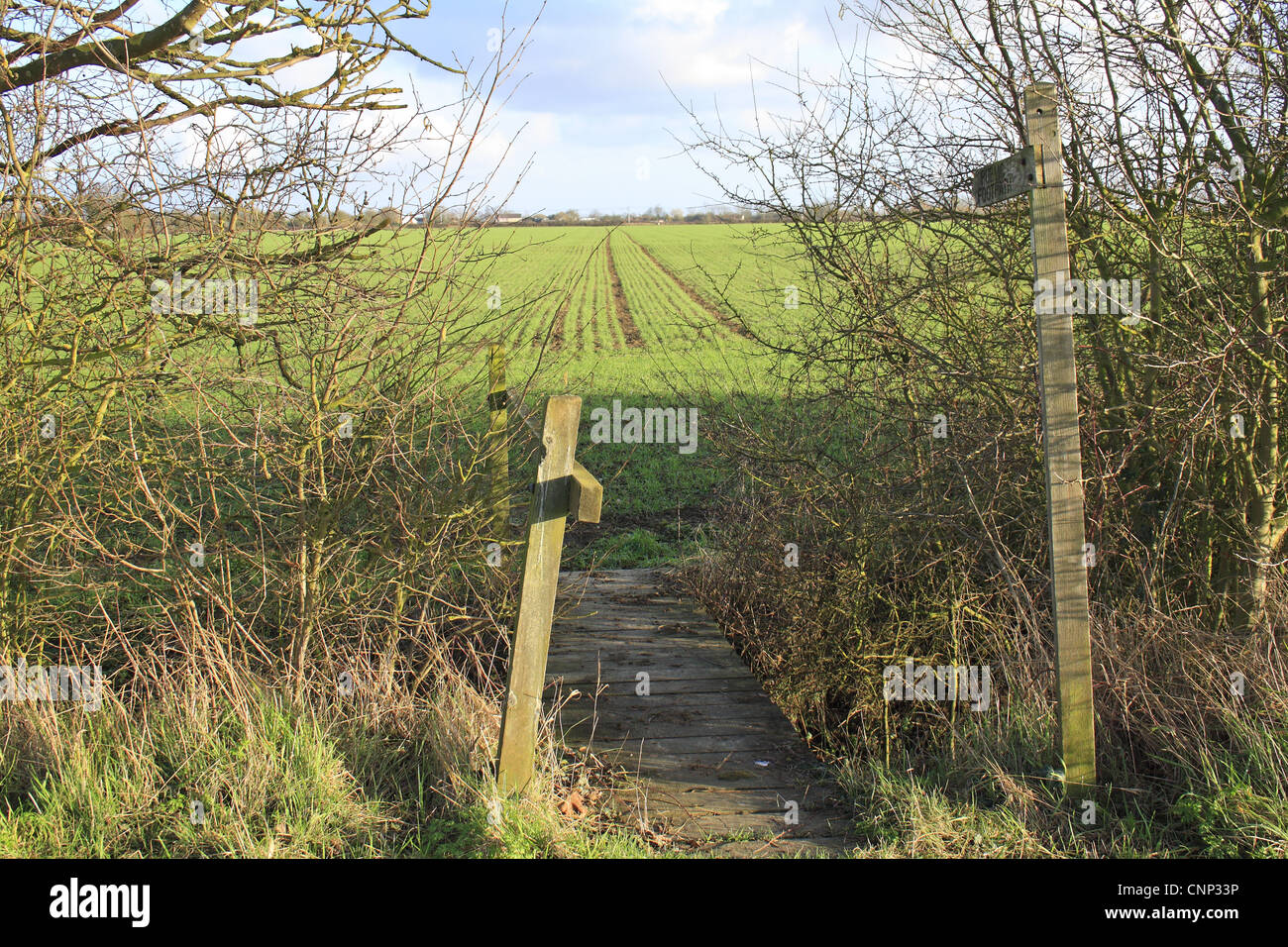 'Public Footpath' sign and footbridge over ditch, crossing arable field ...
