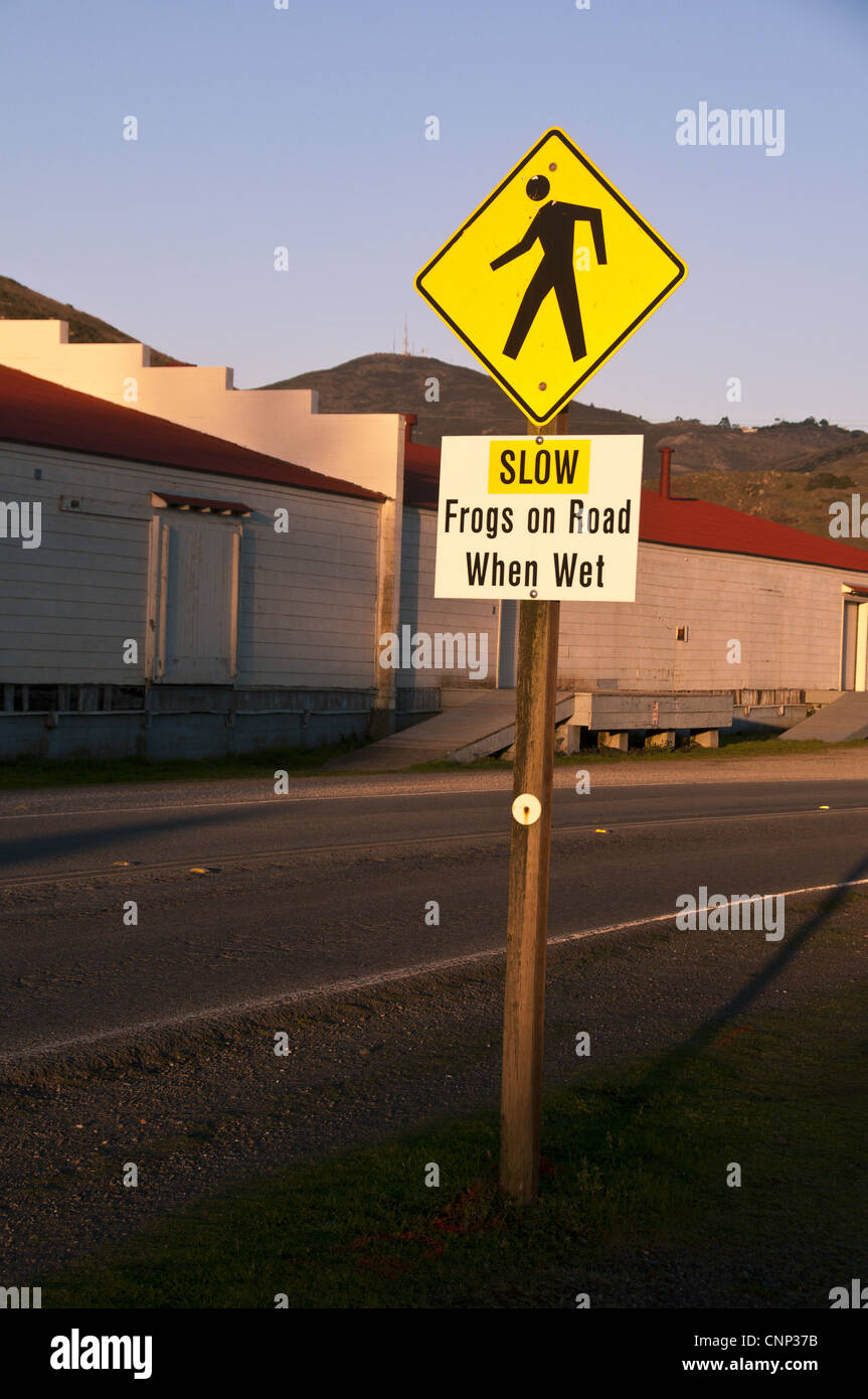Frogs and roads hi-res stock photography and images - Alamy