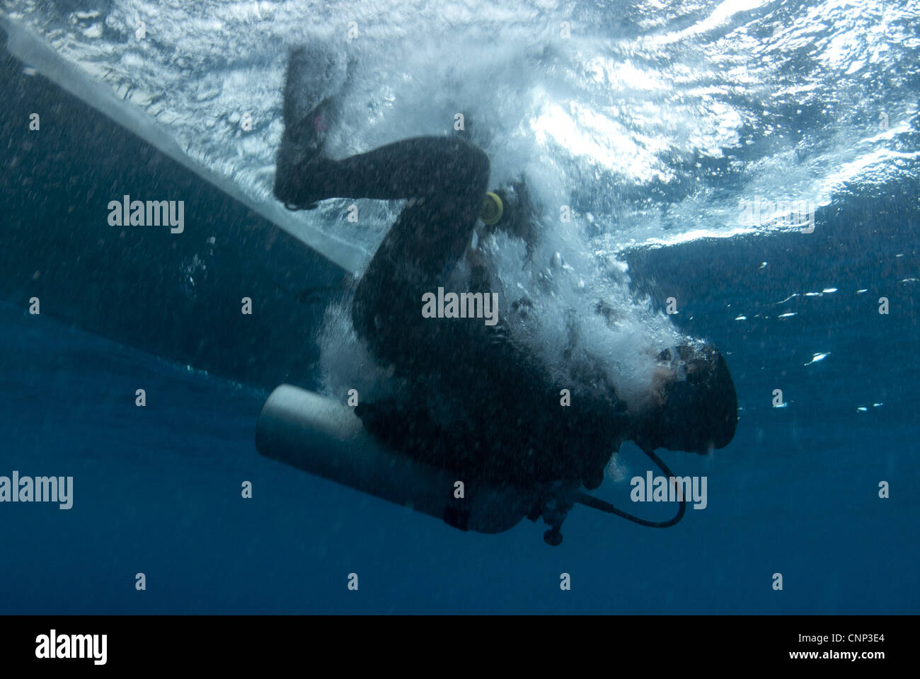 Diver entering water from underwater hi-res stock photography and ...
