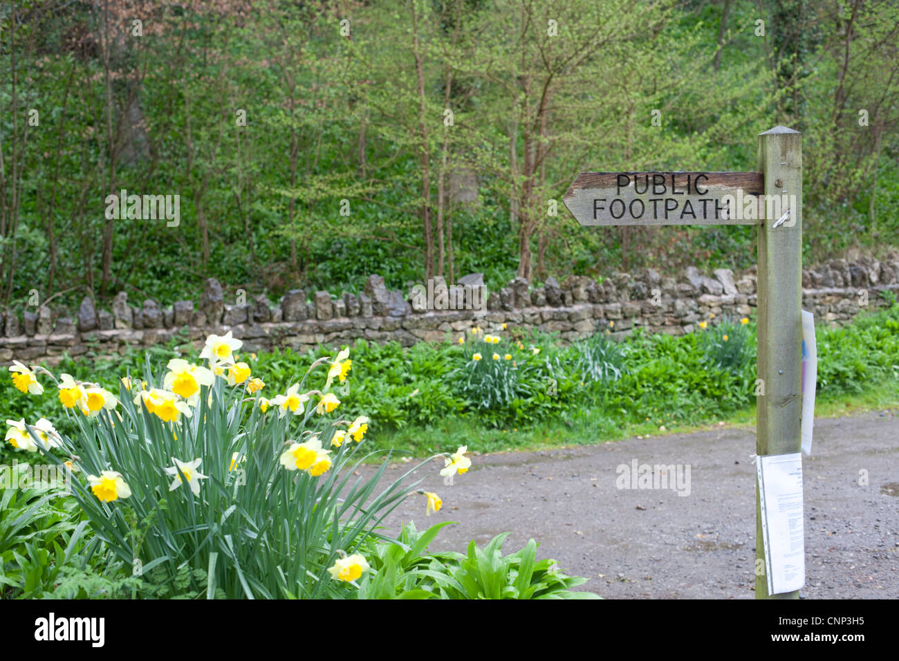 Map of spring green hi-res stock photography and images - Alamy