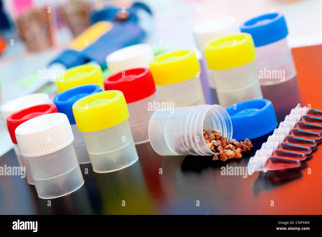 PCR tray in microbiological laboratory Stock Photo - Alamy