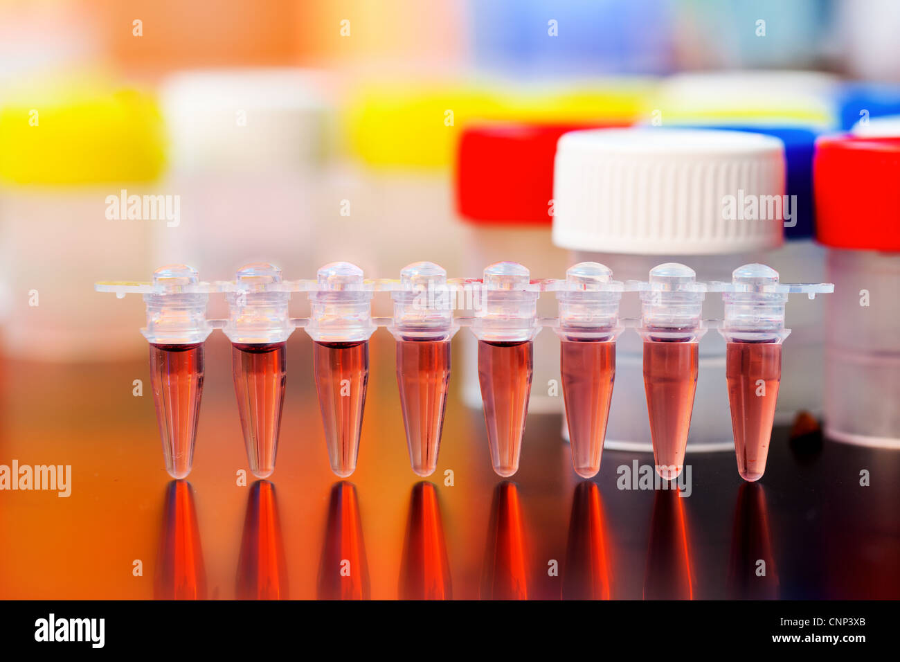 Dna development hi-res stock photography and images - Alamy