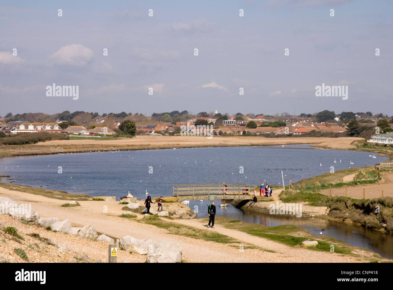 Sturt Pond - Nature Reserve - Milford on Sea - Hants Stock Photo - Alamy