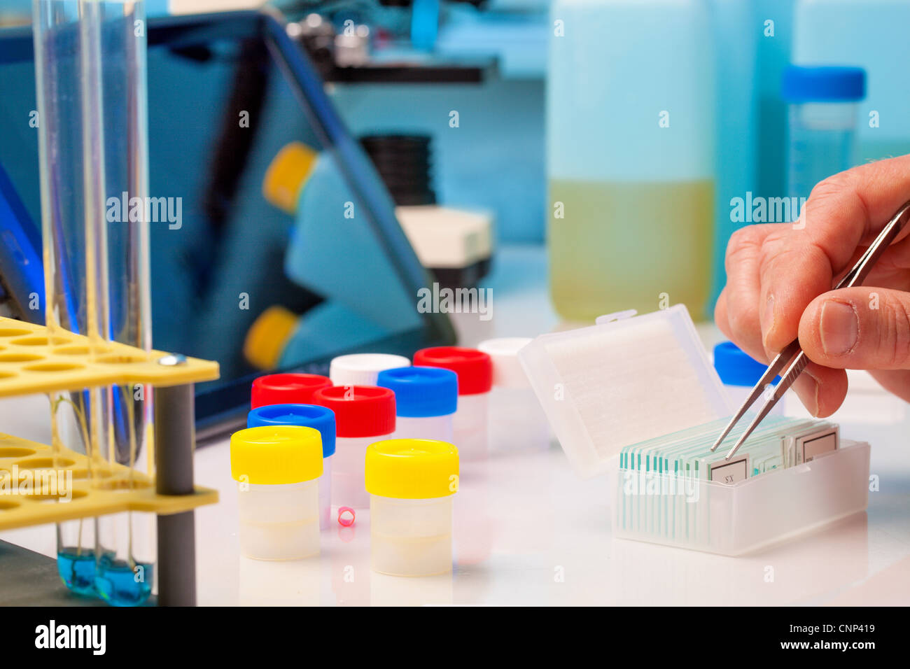Sample plate rack in lab Stock Photo - Alamy