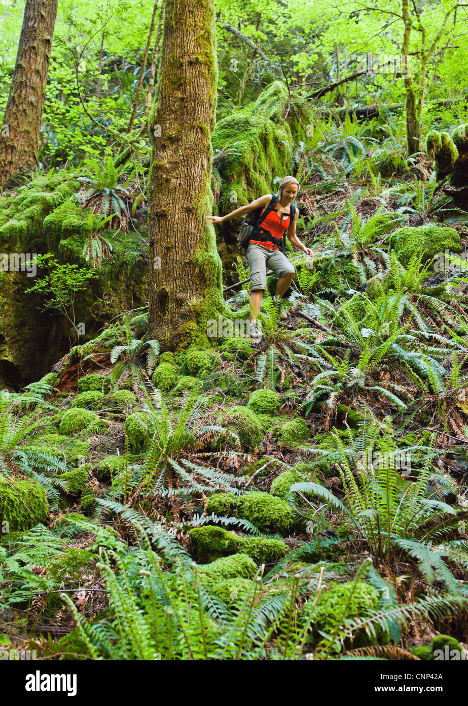 An athletic woman scrambling down a rocky moss covered slope, Little Si ...