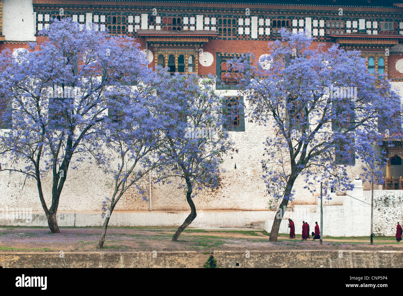 Bhutan monk palace hi-res stock photography and images - Alamy