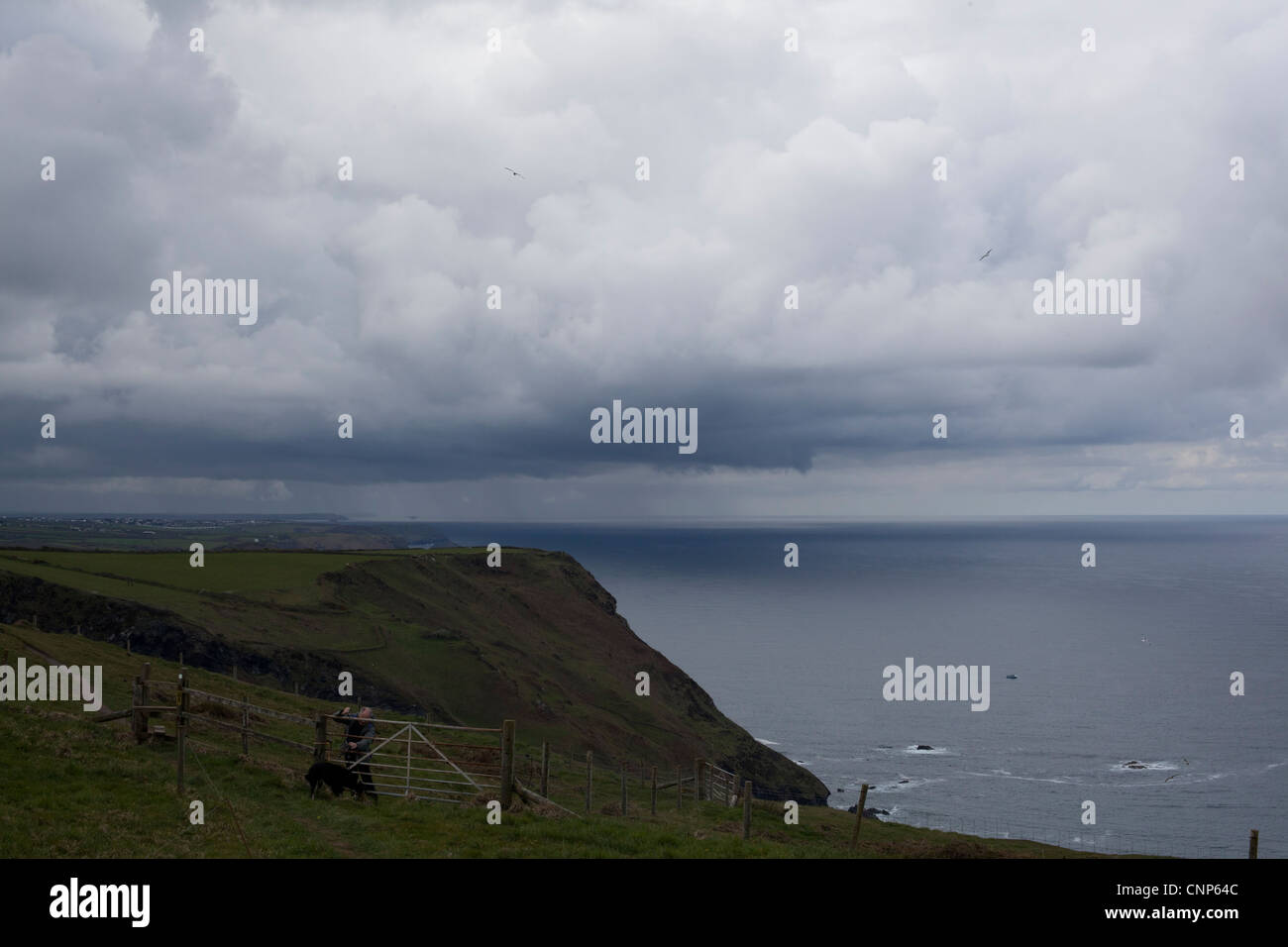 Boscastle cornwall storm hi-res stock photography and images - Alamy