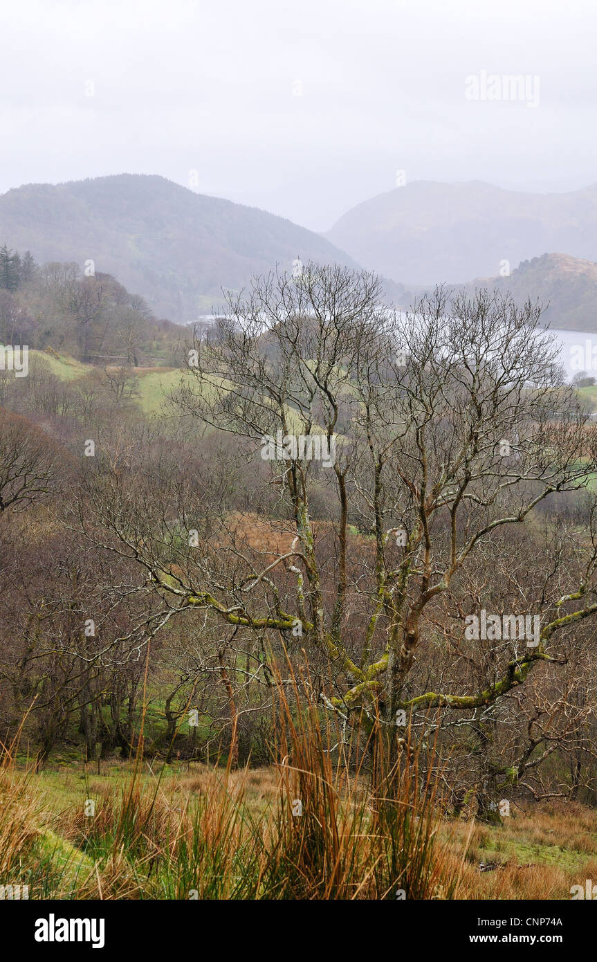 A rainy view of spring in Snowdonia, Wales, UK Stock Photo - Alamy
