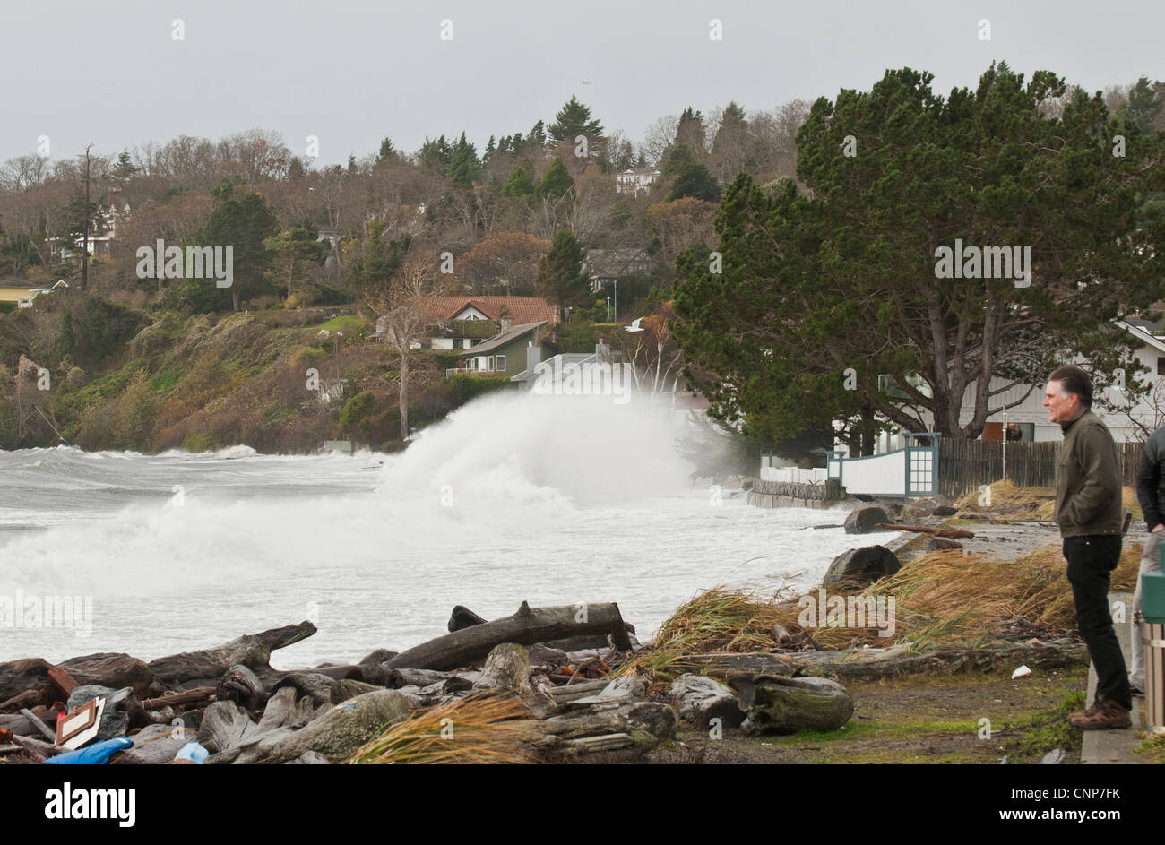 Canada, B.C., Victoria. Combination of high tides, wind and storm surge ...