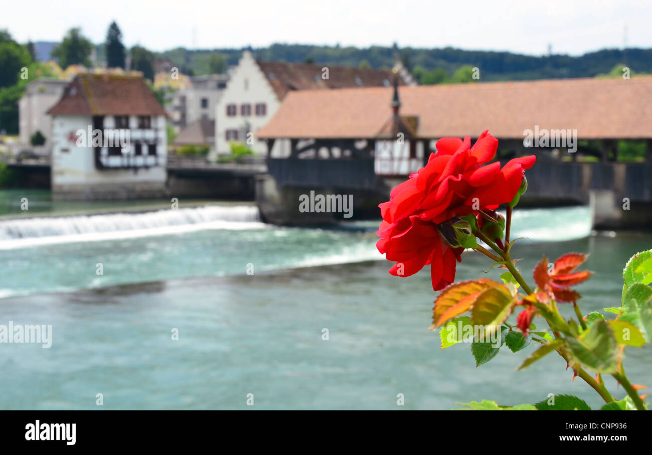 Bremgarten hi-res stock photography and images - Alamy