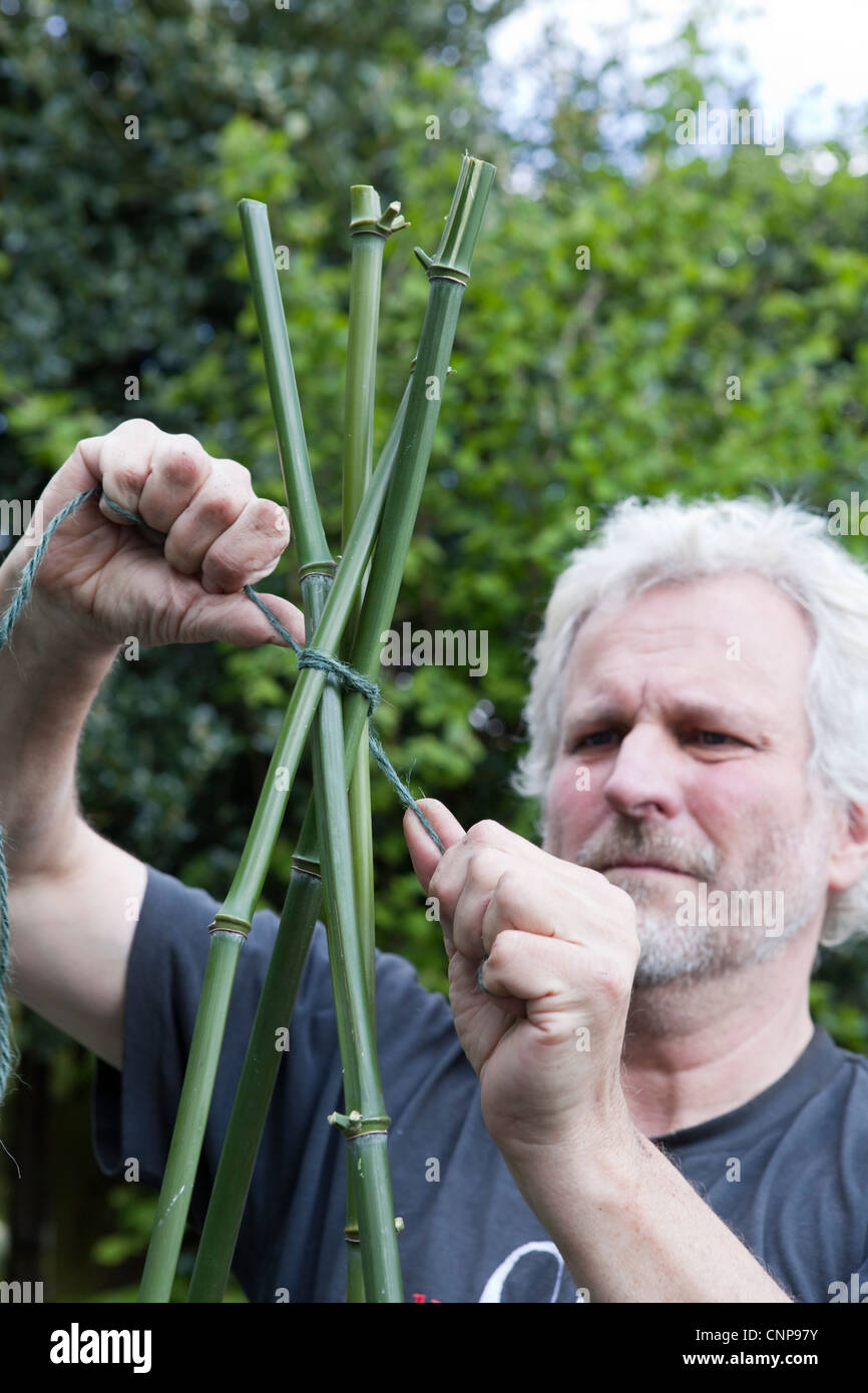 Close upplant hi-res stock photography and images - Alamy