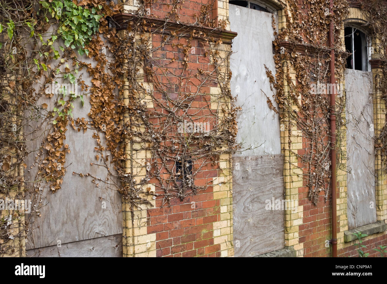 urban decay uk MERTHYR NURSING HOME closed derelict boarded up ...