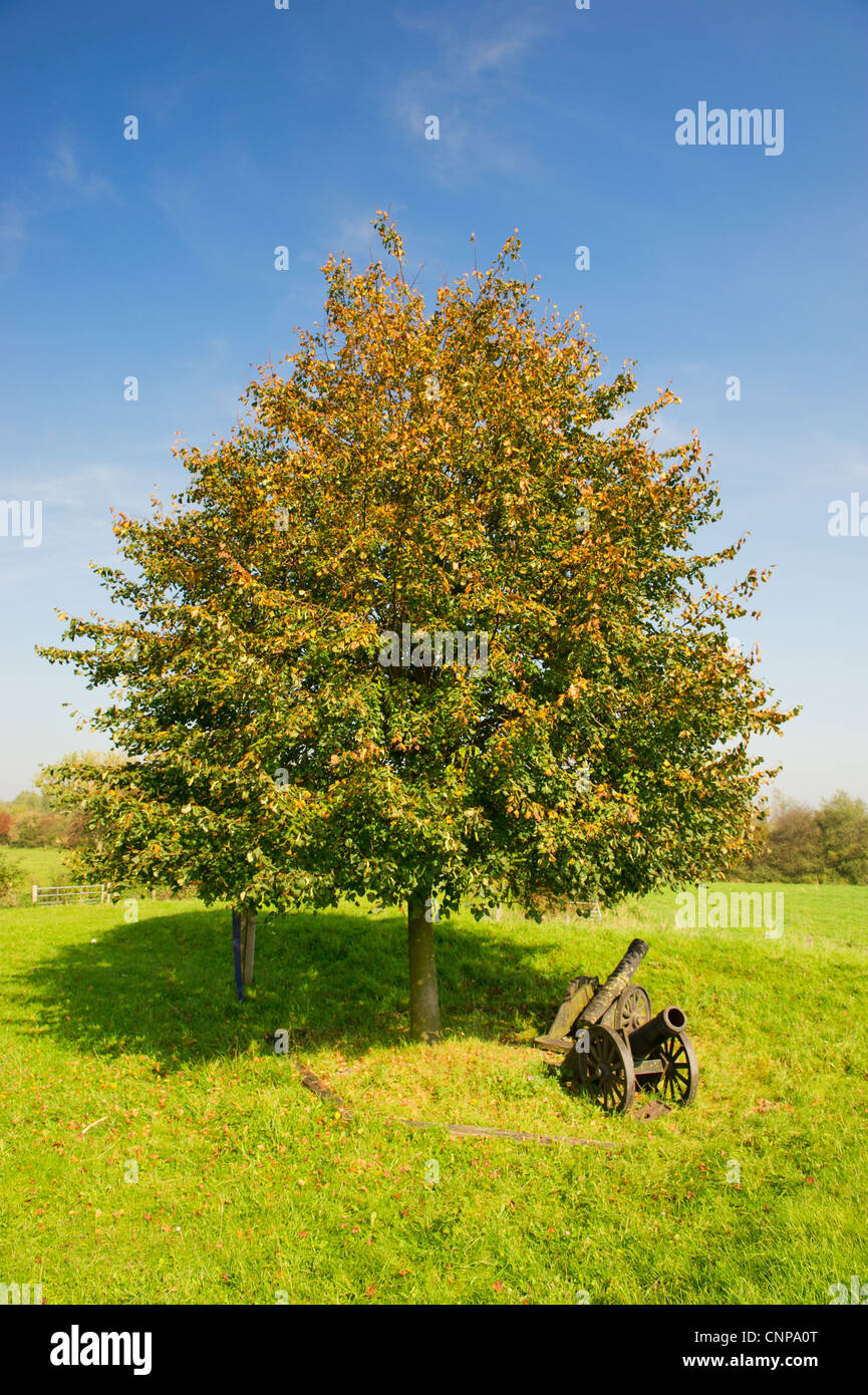 Two canons as a symbol for fort the Voorne in Holland Stock Photo - Alamy