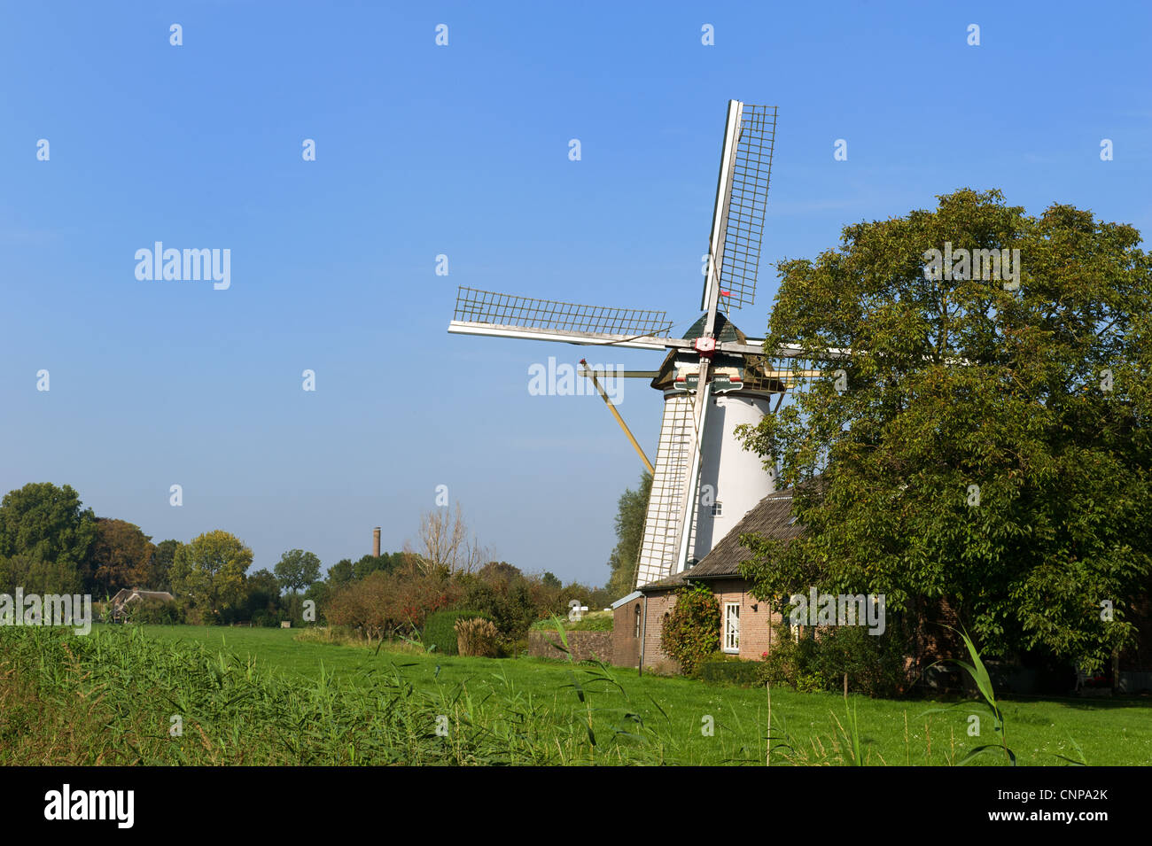 windmill in Dutch landscape Stock Photo - Alamy