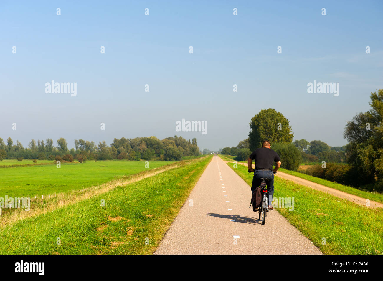 man on the bike in Dutch landscape Stock Photo - Alamy