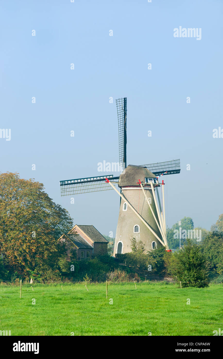 Dutch windmill in the small village Beesd Stock Photo - Alamy