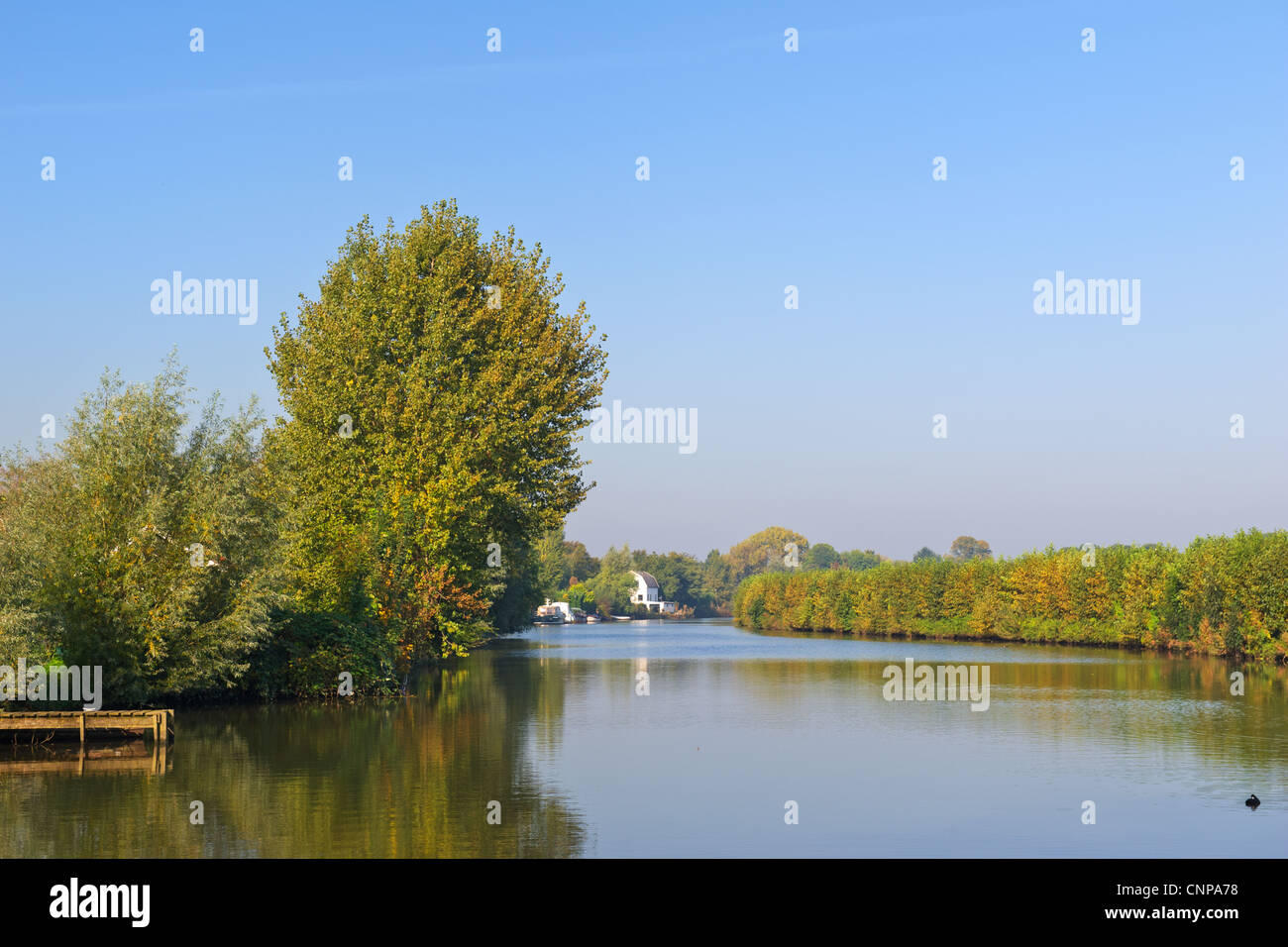 Dutch river landscape Stock Photo - Alamy