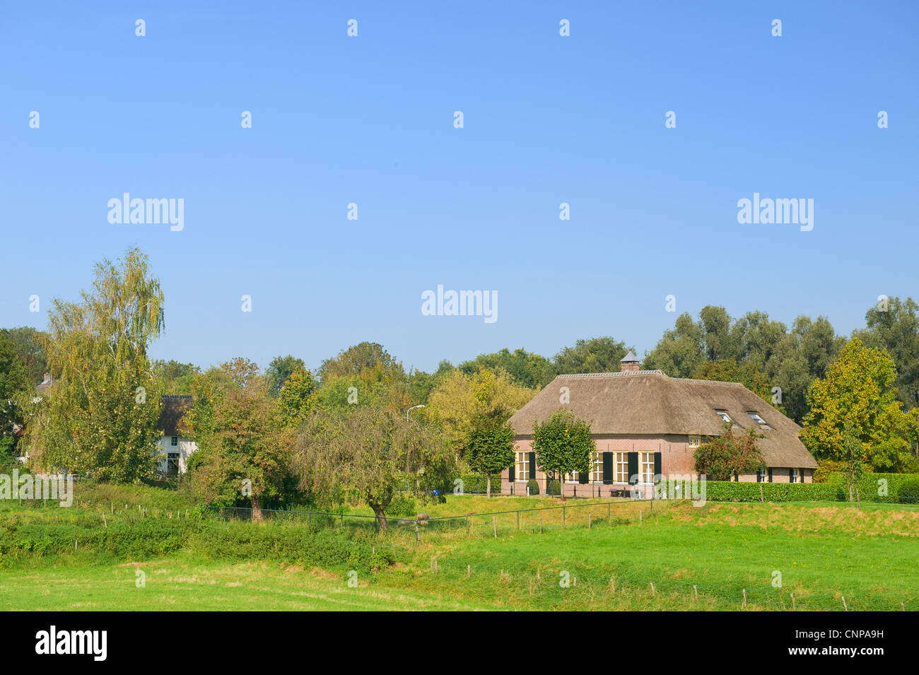 Dutch farm house hi-res stock photography and images - Alamy