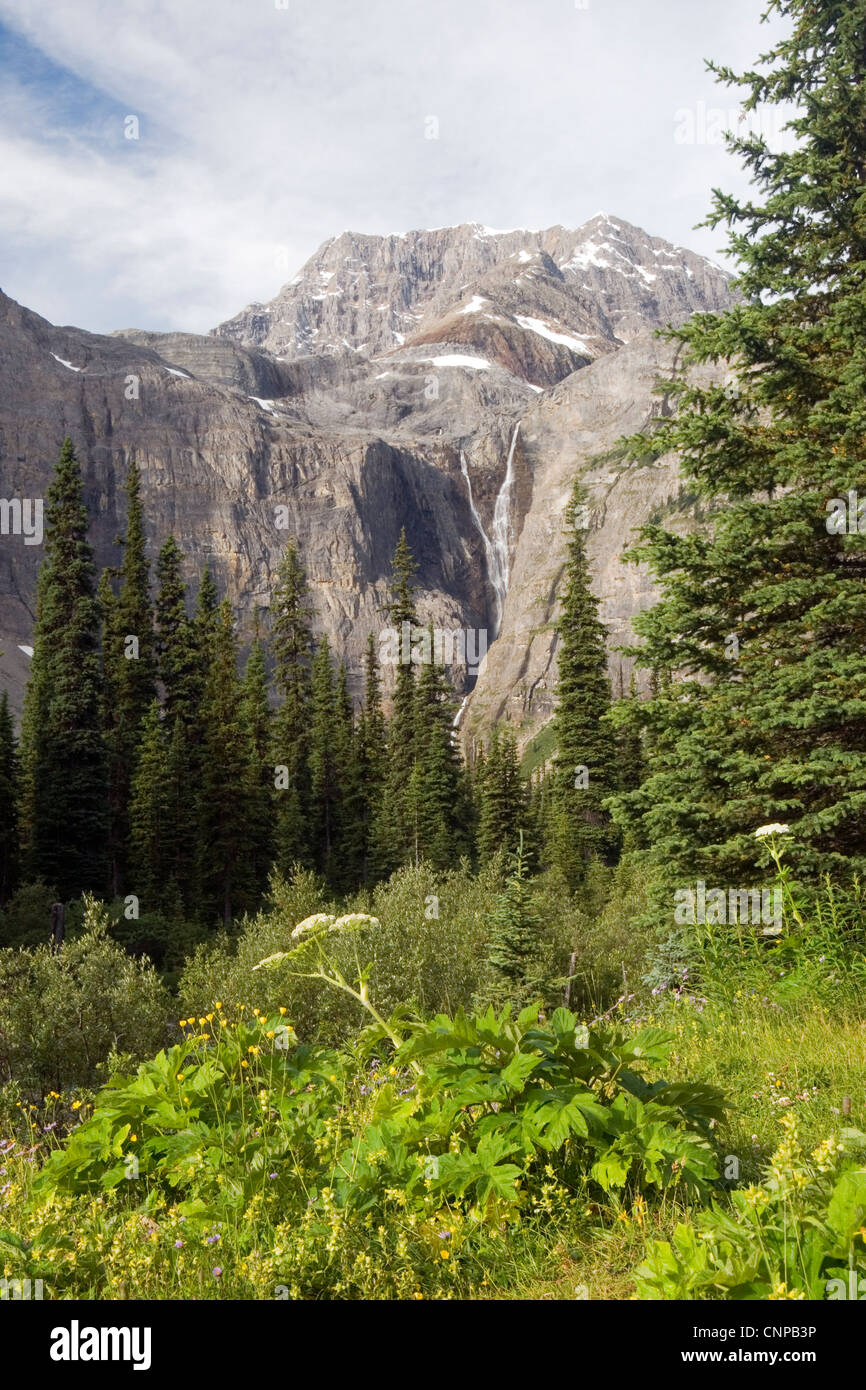 Helmet Falls on the Rockwall Trail in Kootenay National Park, British ...