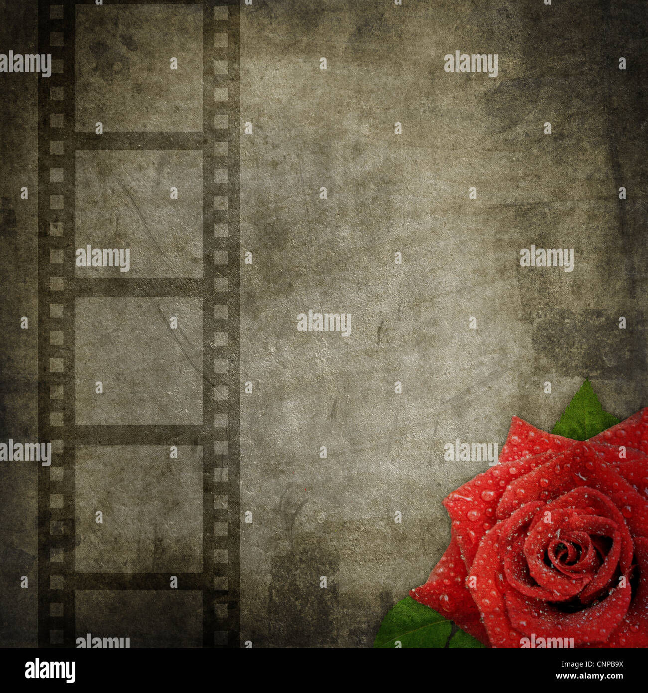 Old vintage paper with rose and frame Stock Photo - Alamy