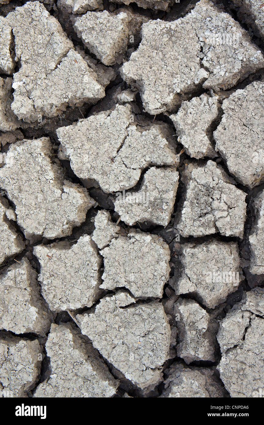 Close-up of earth cracked detail background Stock Photo - Alamy