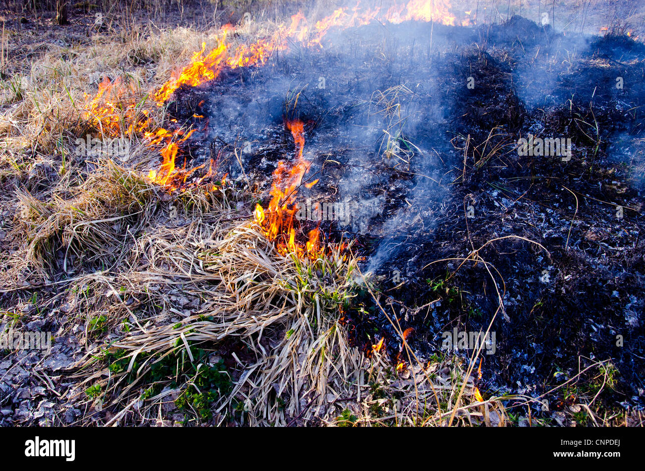 Burning dry grass hi-res stock photography and images - Alamy