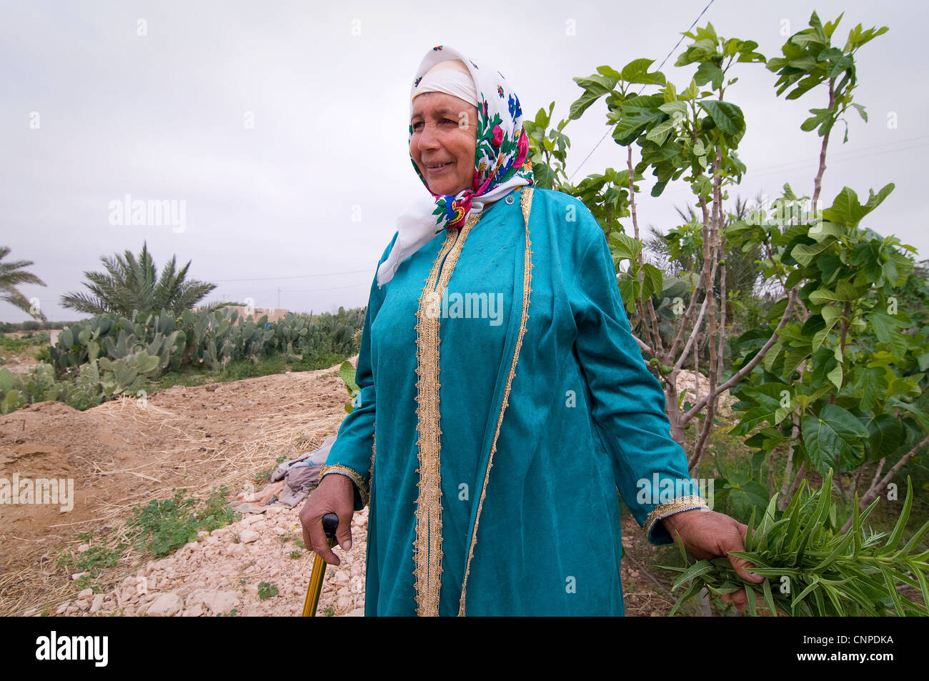 Mabrouka and her husband Mabrouk have a house and some farmland in a ...