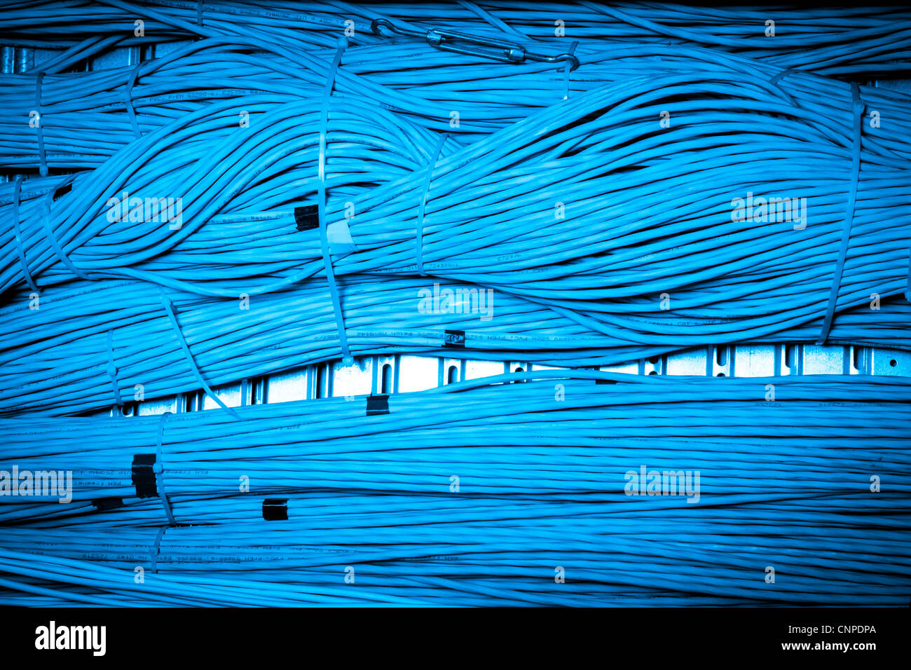 close up of network cables Stock Photo - Alamy
