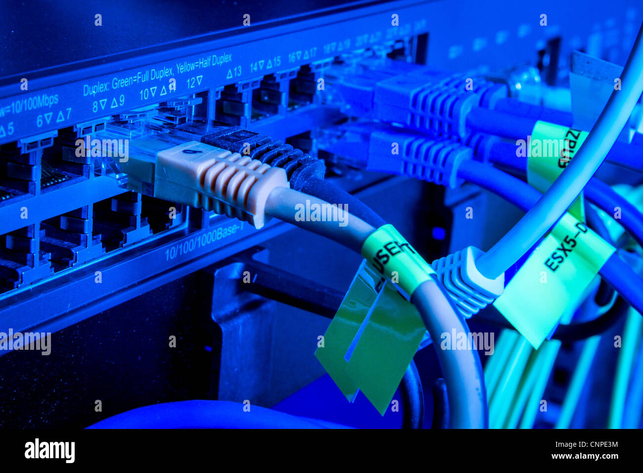 network cables connected to hub Stock Photo - Alamy