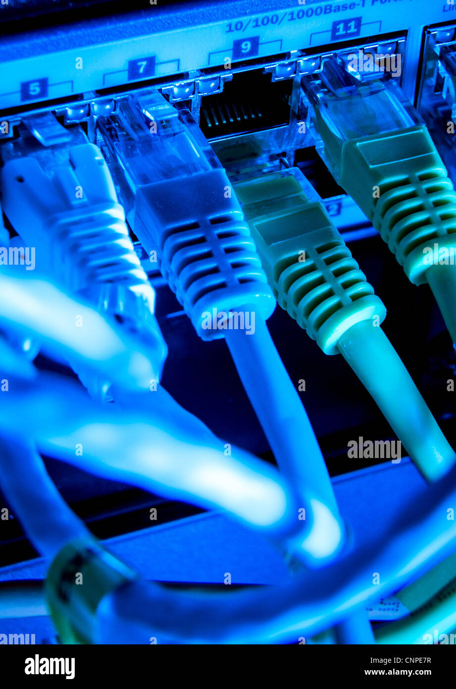 network cables connected to hub Stock Photo - Alamy