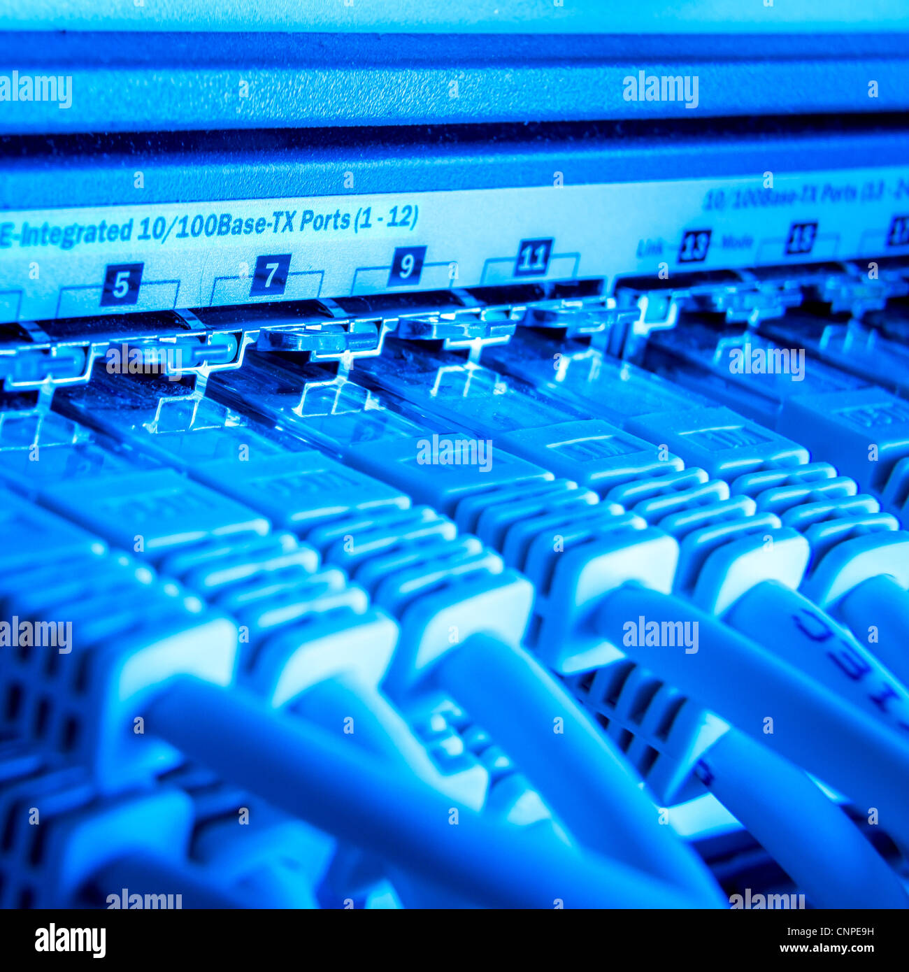 close up of network cables connected to switch Stock Photo - Alamy