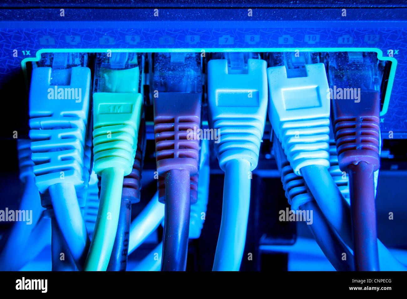 close up of network cables connected to switch Stock Photo - Alamy
