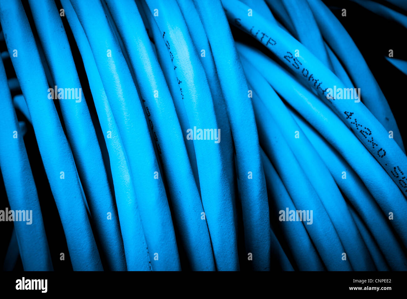 close up of network cables Stock Photo - Alamy