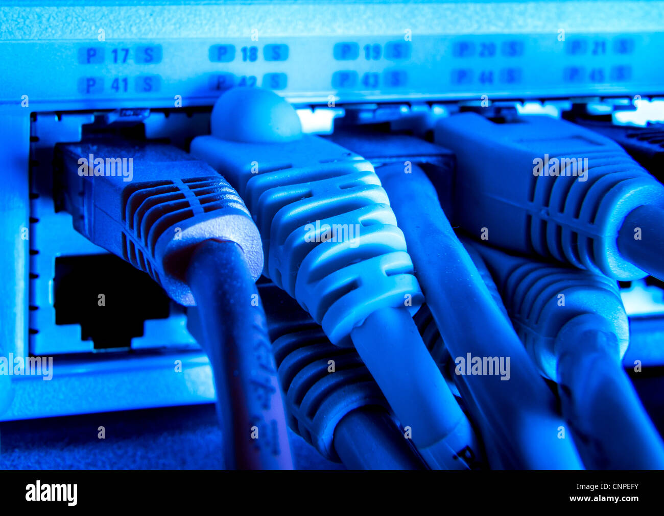 close up of network cables connected to switch Stock Photo - Alamy