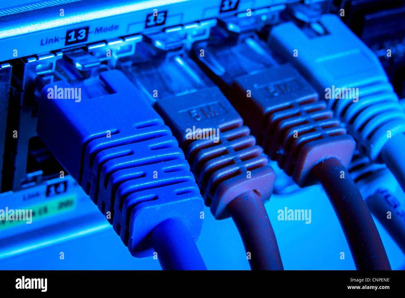 close up of network cables connected to switch Stock Photo - Alamy