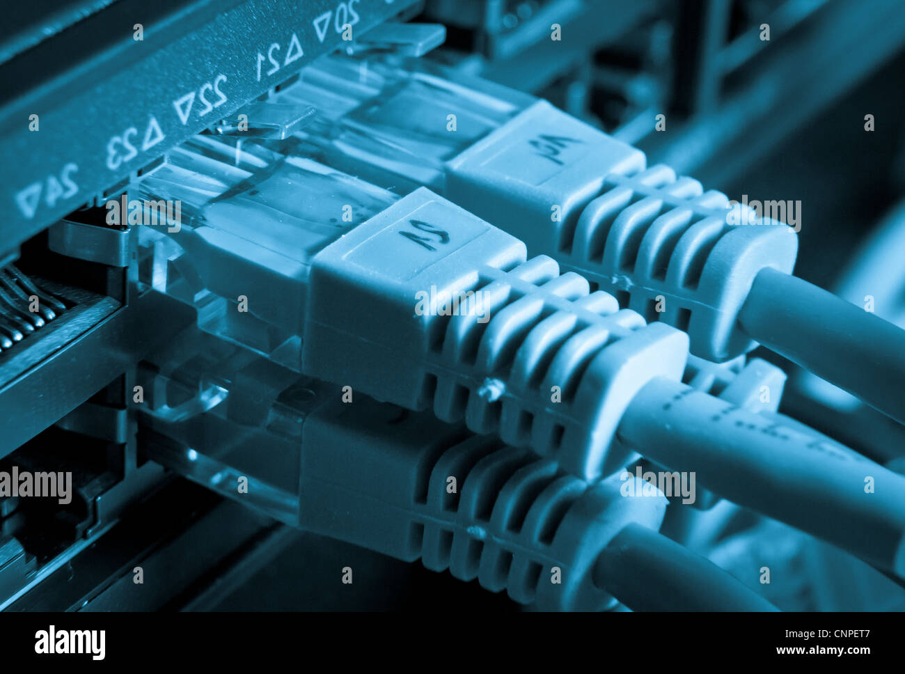 network cables connected to hub Stock Photo - Alamy