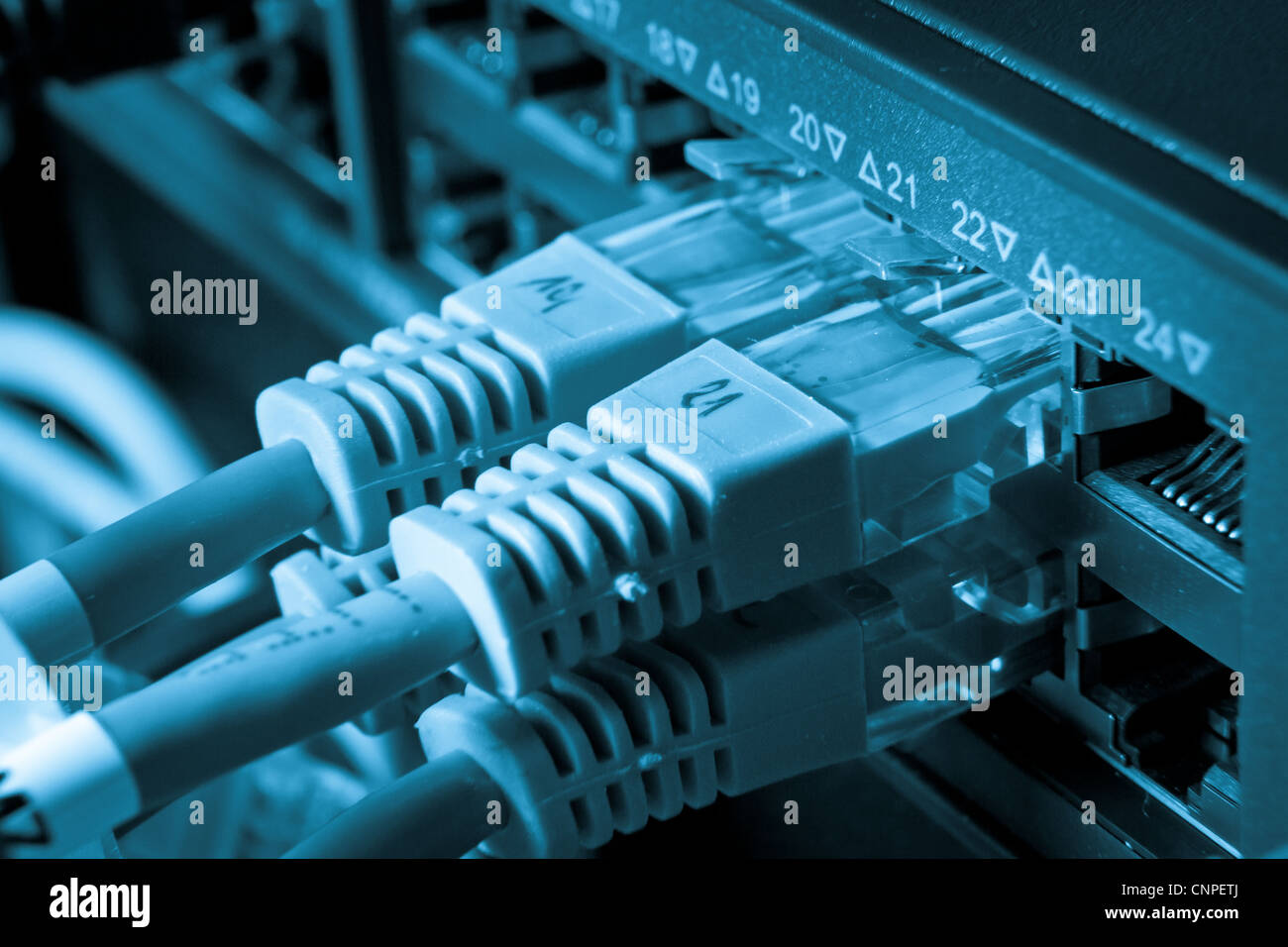 network cables connected to hub Stock Photo - Alamy