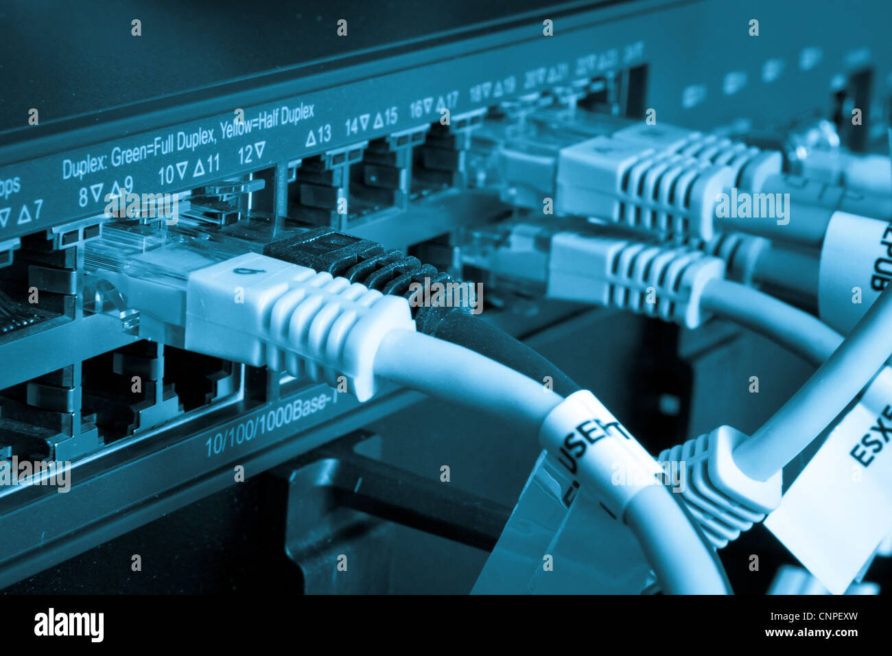 network cables connected to hub Stock Photo - Alamy