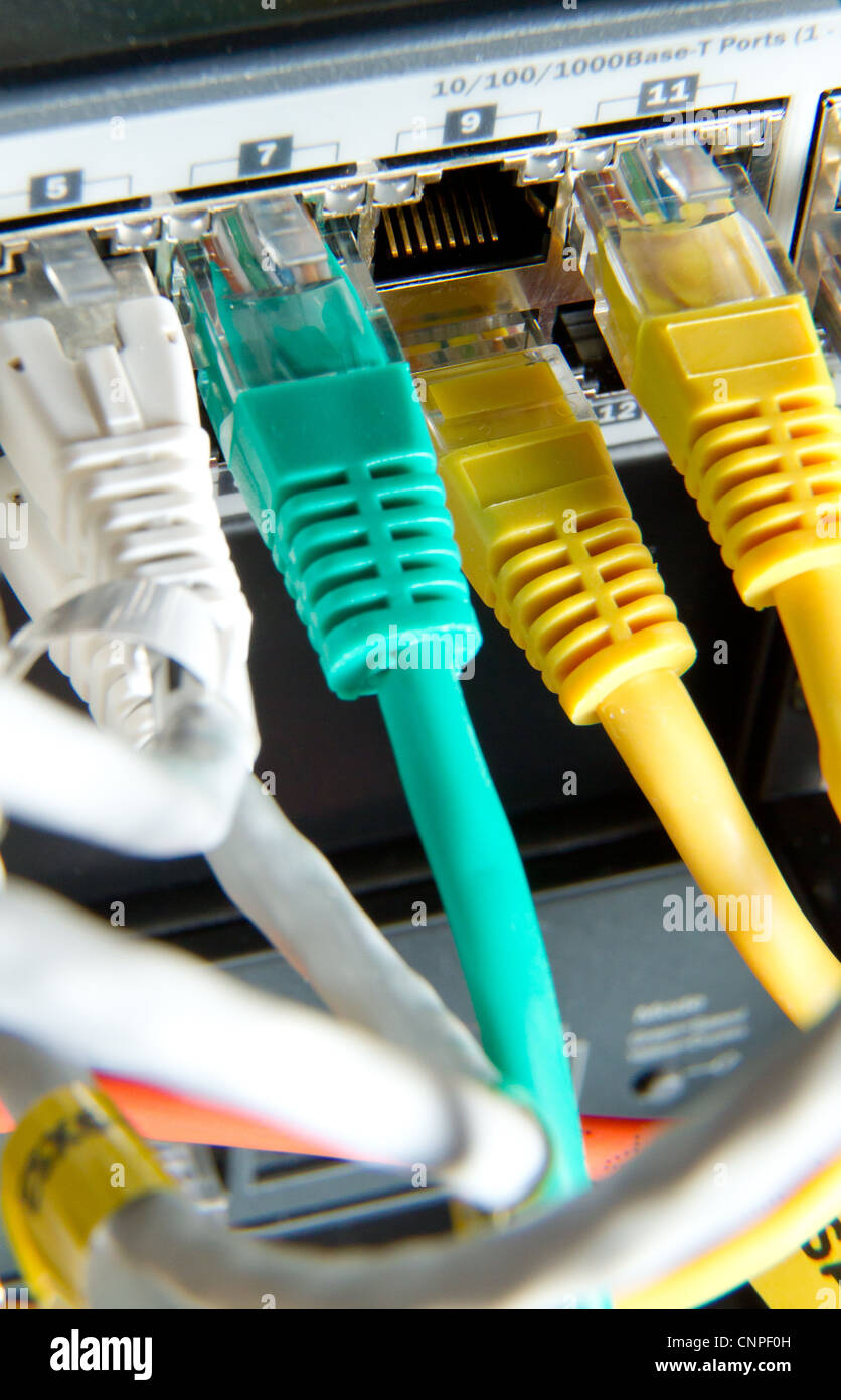 network cables connected to hub Stock Photo - Alamy