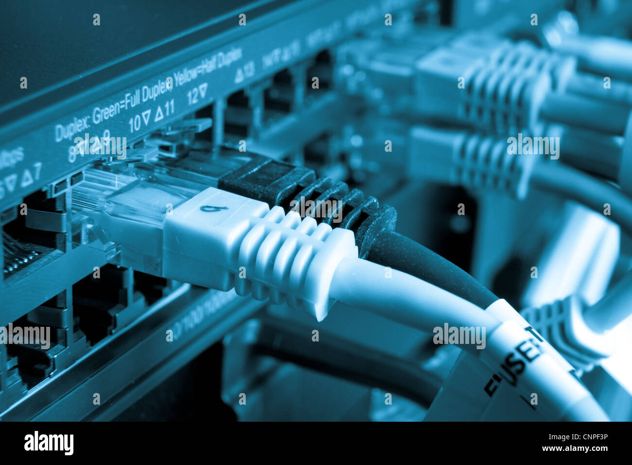 network cables connected to hub Stock Photo - Alamy